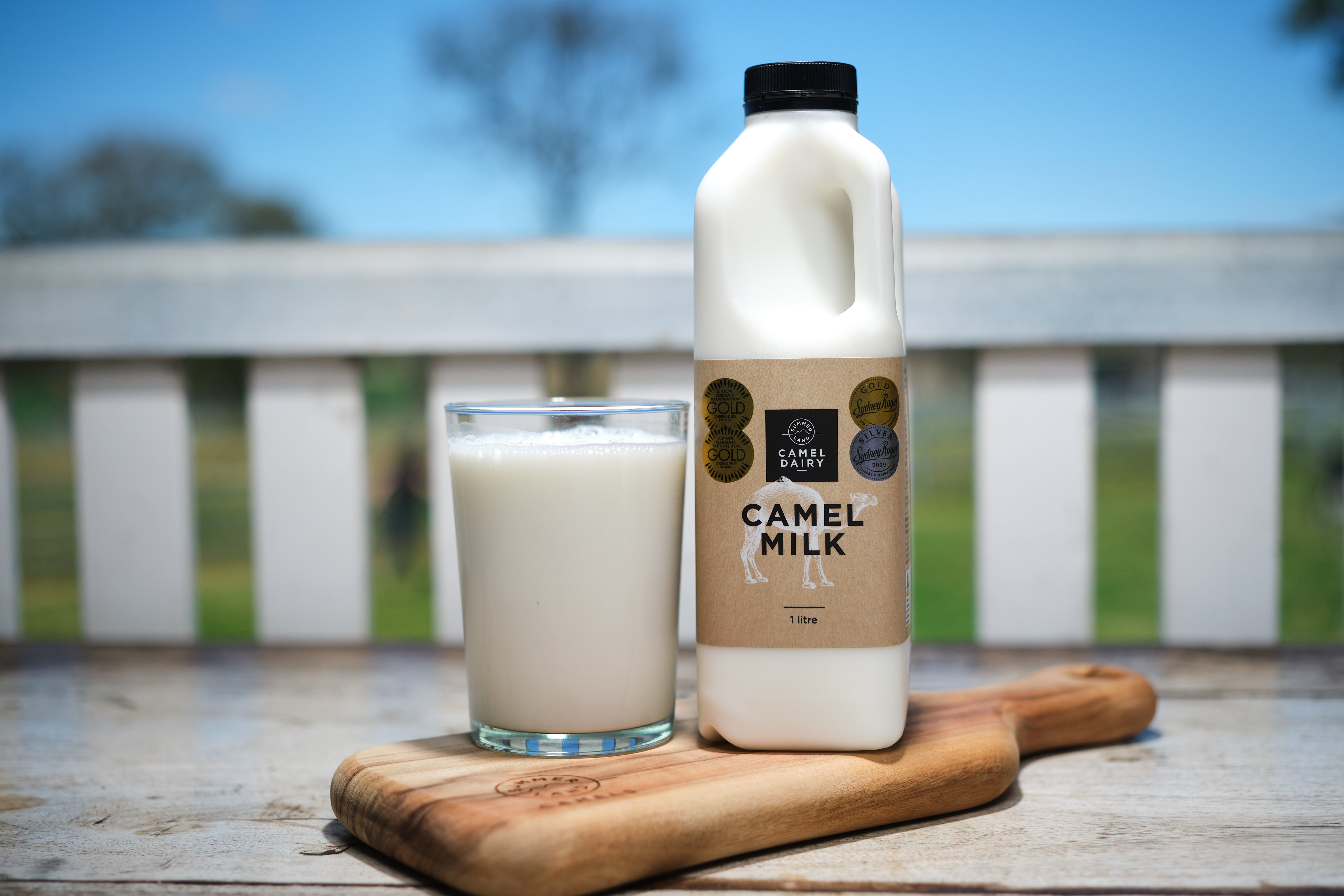 Camels Milk 1L | Home Delivery | Saraleeonline | – Grove Online